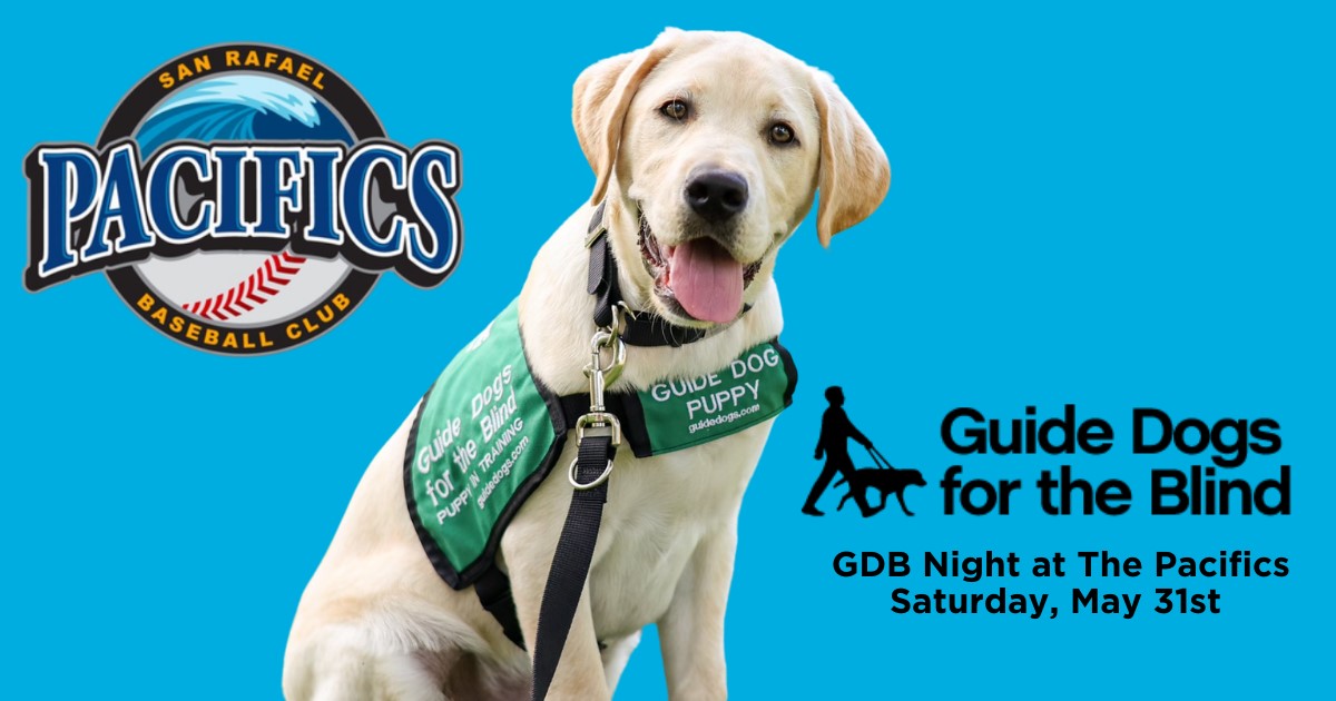 GDB Night at the Ballpark!, Saturday, May 31, 2025, 5 - 8pm