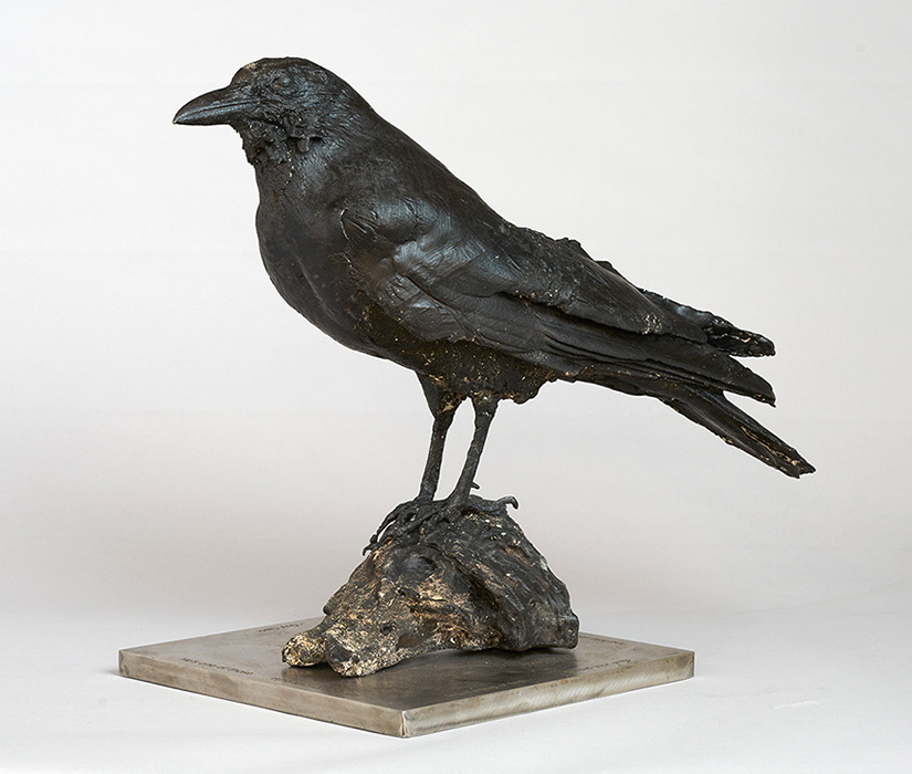 Events : The Wittliff Collections