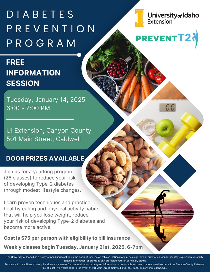 Type 2 Diabetes Prevention Type 2 Diabetes: An Overview Of Risk