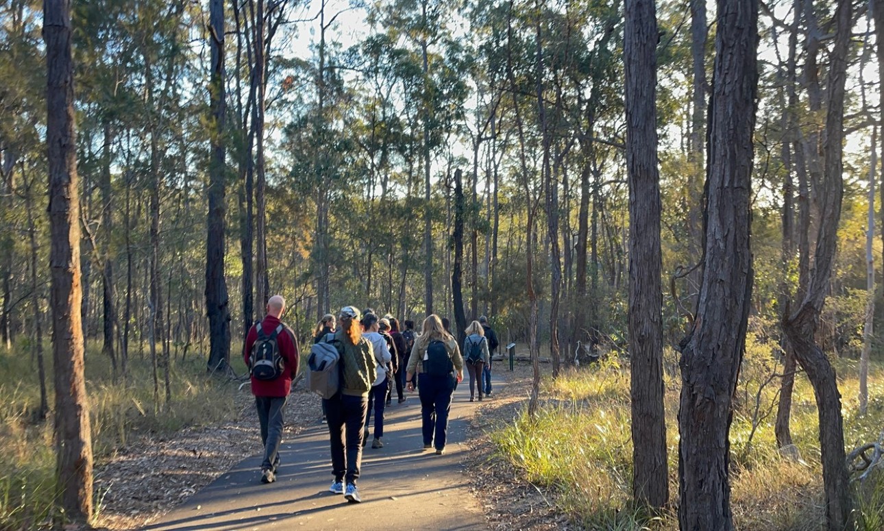 CANCELLED - Karawatha Forest Discovery Walk at Karawatha Forest Park ...