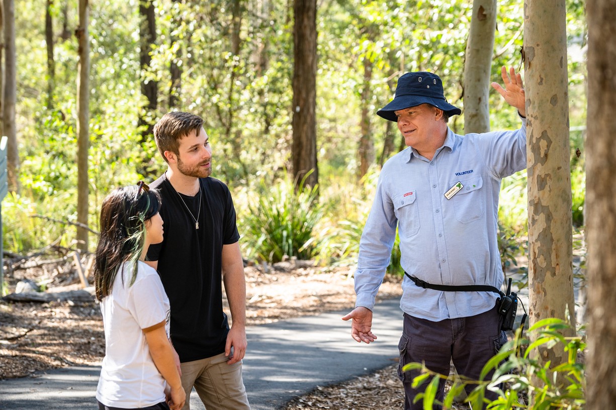 Karawatha Forest Discovery Walk at Karawatha Forest Park and Discovery ...