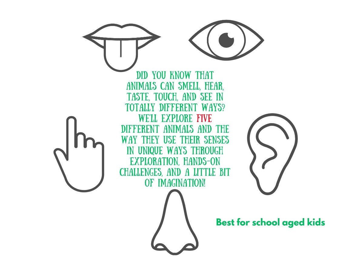 Leicester Library: OUR FIVE SENSES - Hendersonville.com