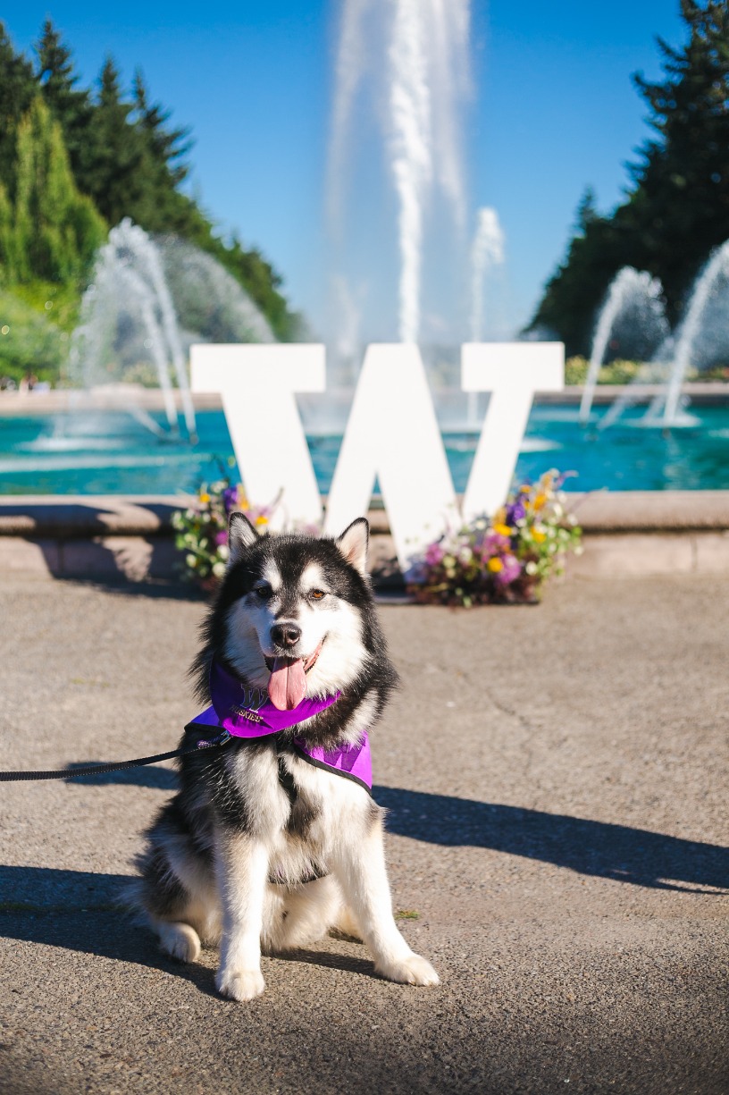 Informatics Program Overview for Future UW Seattle First-Year and ...