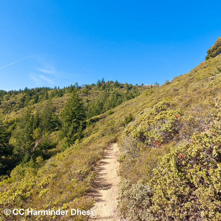 CANCELED - Early Spring at Rock Spring | One Tam