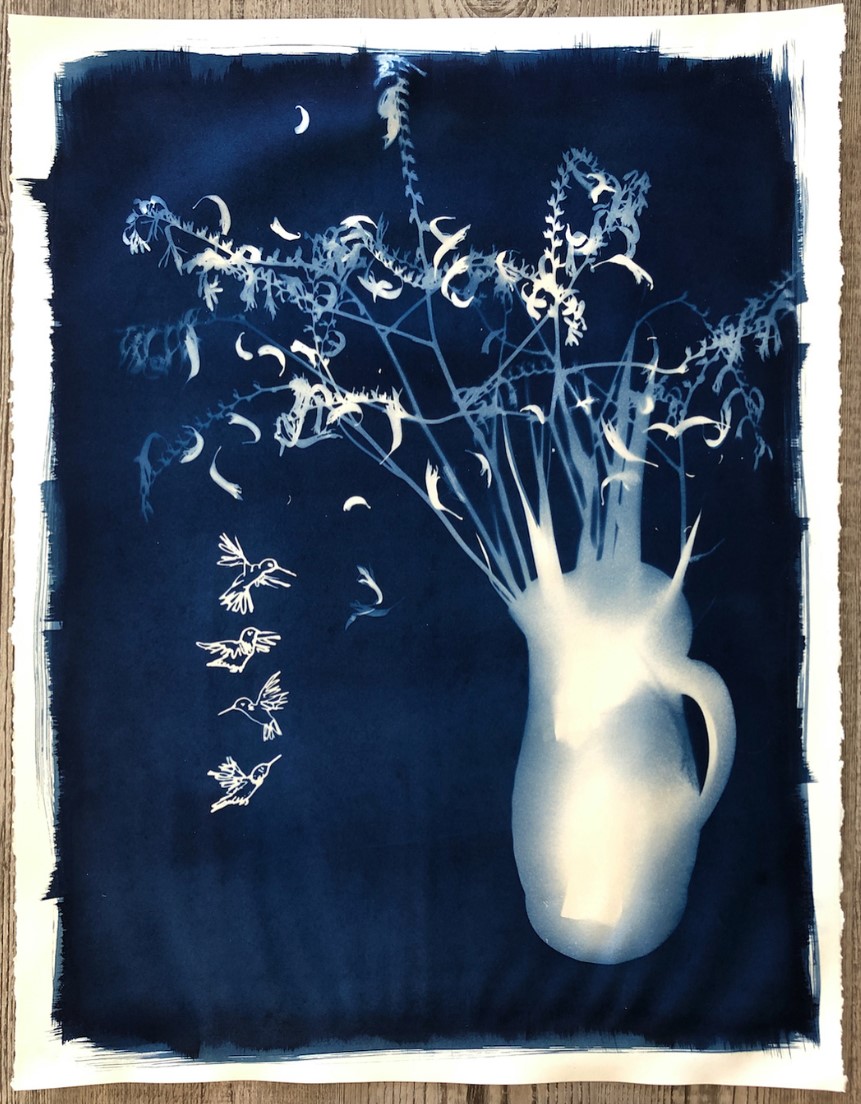 Celebrate Summer with Cyanotypes!, Sunday, Jun 23, 2024, 11 a.m. - 1 p.m.