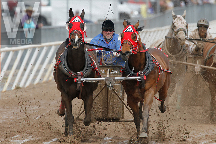 Modern Day Chariot Racing 16 COOL THINGS YOU MAY NOT KNOW ABOUT
