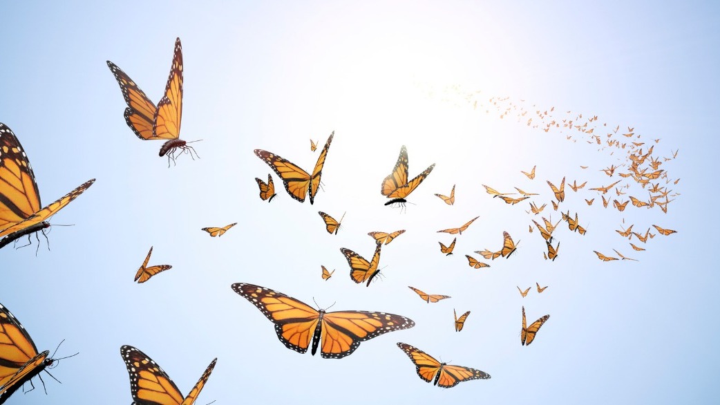 Monthly Drop-In Support Group for Children of Holocaust Survivors (2Gs ...