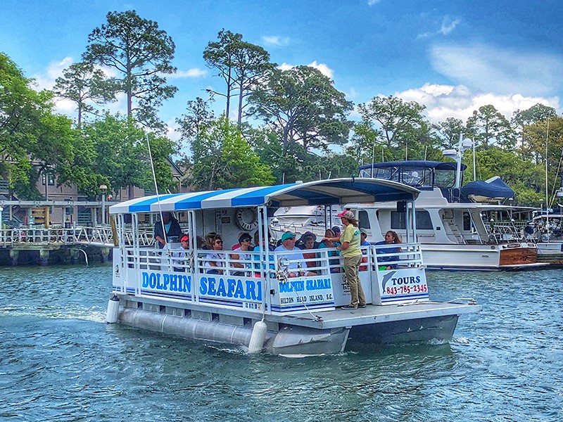 Dolphin Tours, Sunday, November 3, 2024, 9am - 5:30pm